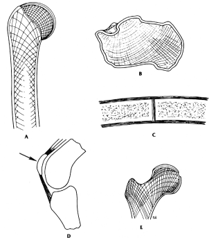 Fig. 01-29