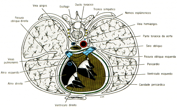 Fig. 03-29
