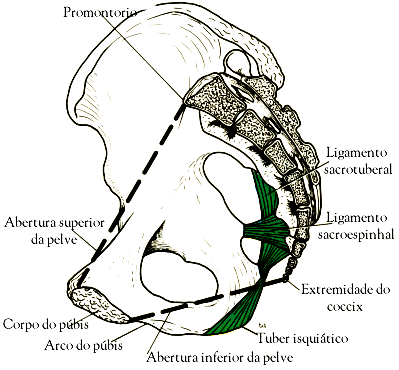 Fig. 06-06